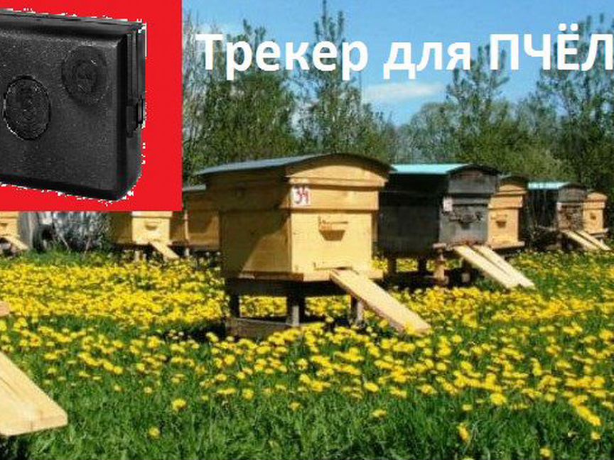 Gps Трекер для пчел, и пчелиных ульев
