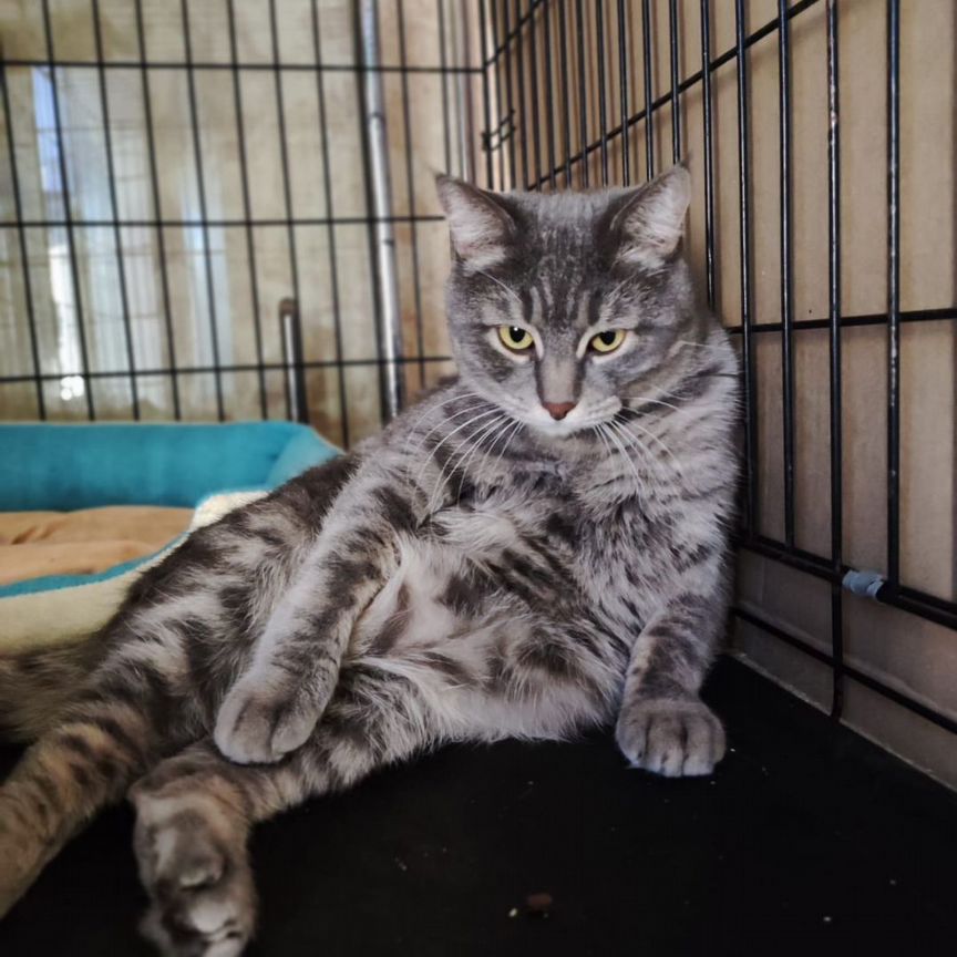 Когда то был любимый