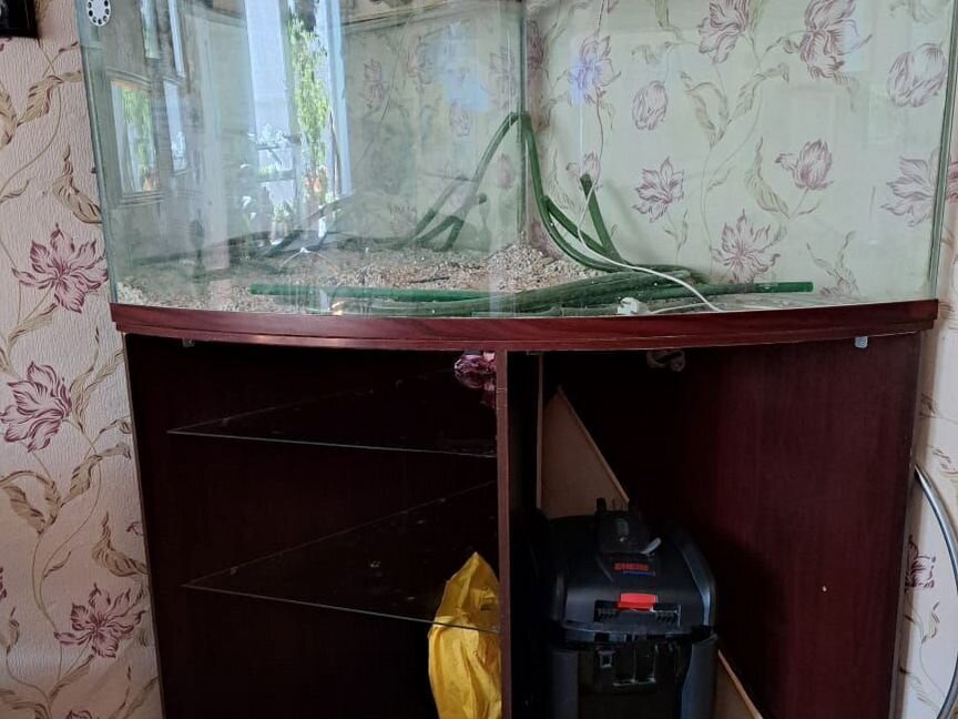 Угловой аквариум 500 л с тумбой