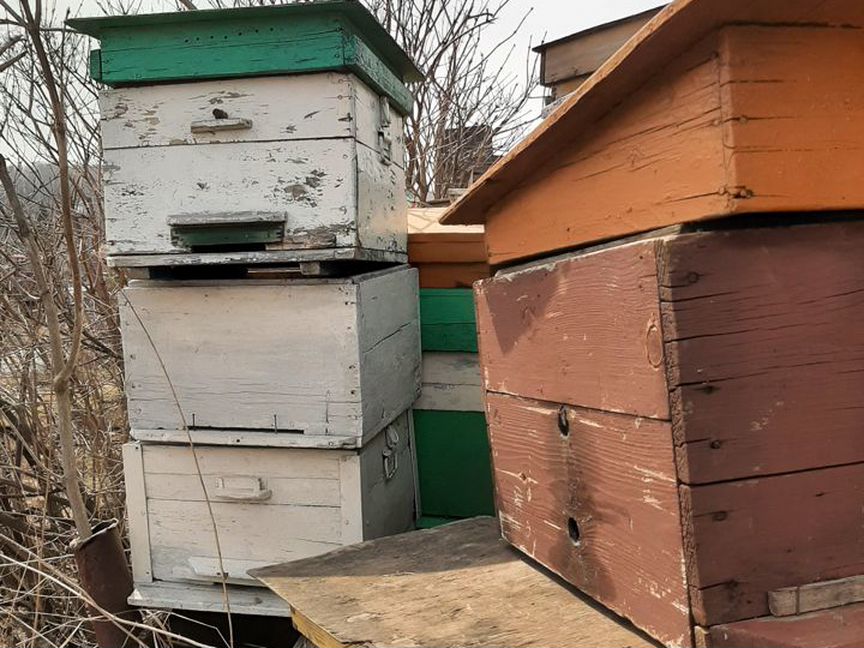 Продам ульи для пчел