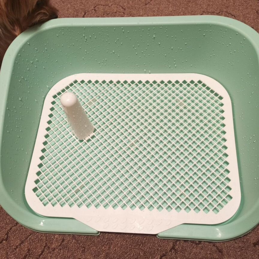 Лоток для собак под пеленку