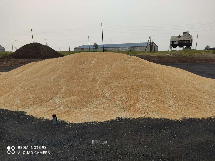 Зерно и зерноотходы