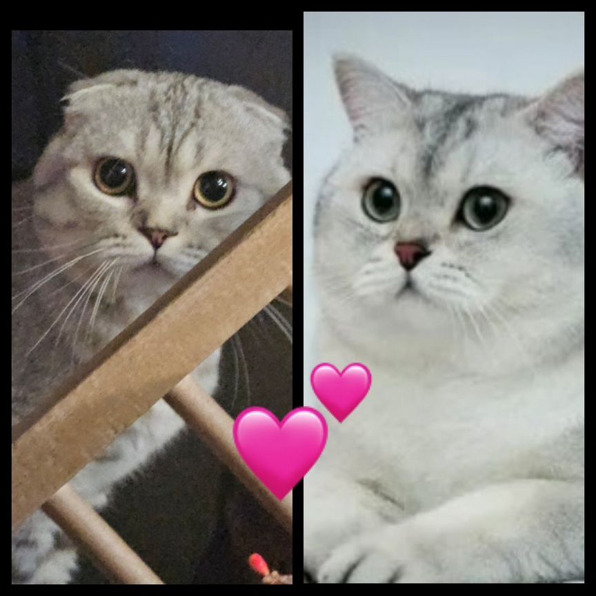 Скоро в продаже