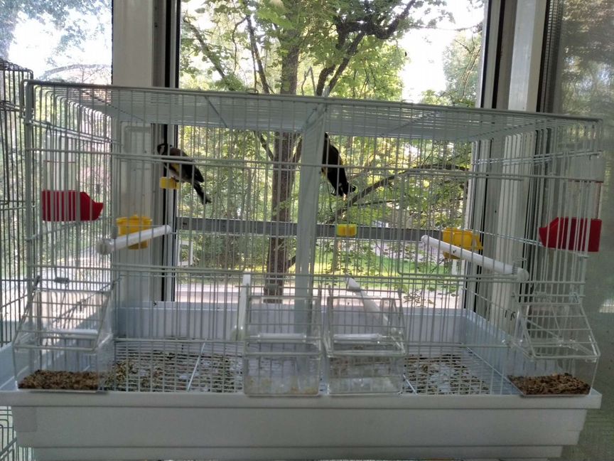 Клетка с перегородкой для певчих птиц