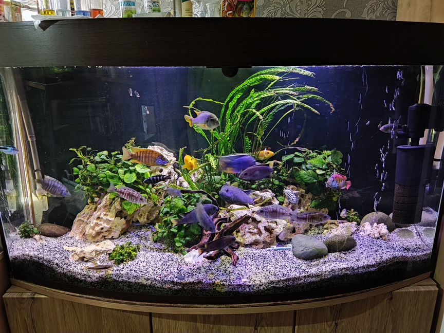 Аквариум 350л