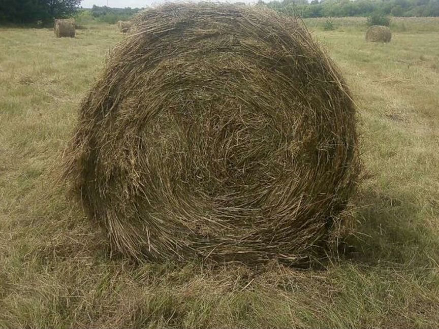 Луговое сено