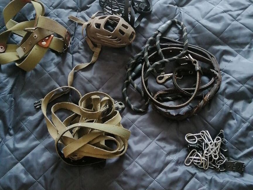 Аксессуары для собак