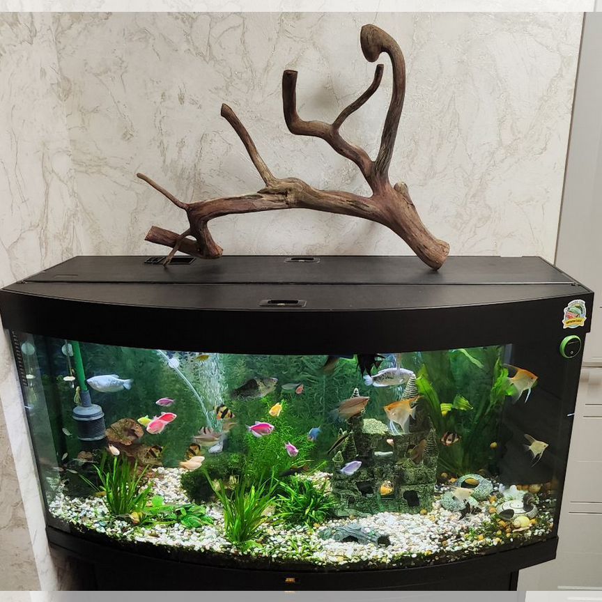 Коряга в аквариум натуральная