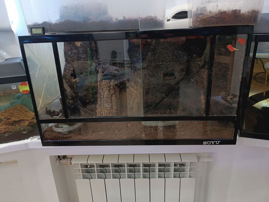 Террариум для рептилий