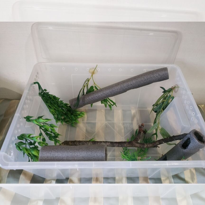 Жилище для бананоеда