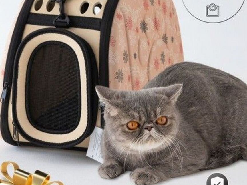 Сумка переноска для животных