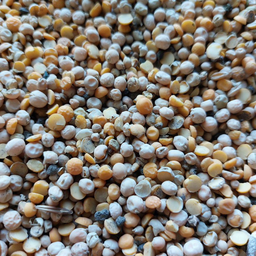 Отходы гороха