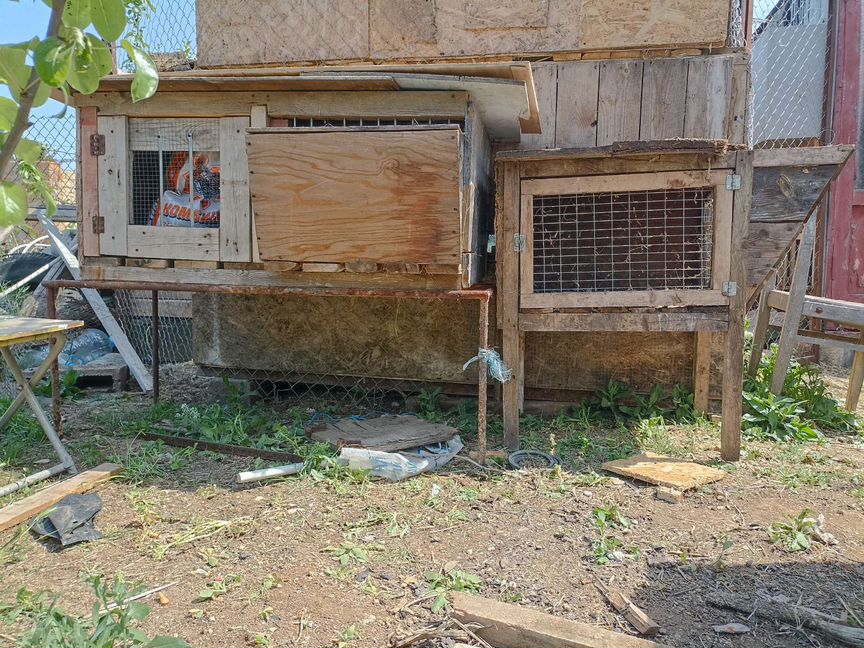 Кролятники