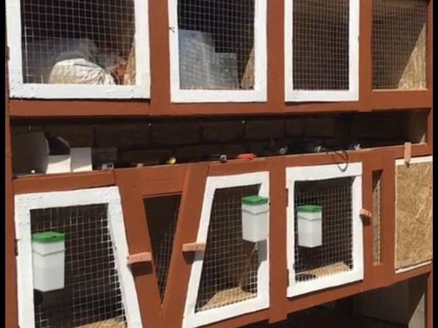 Клетка для кролика большая