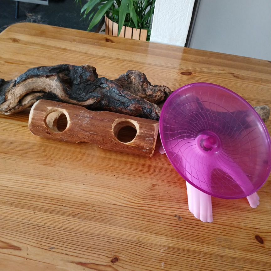 Диск для хомяка