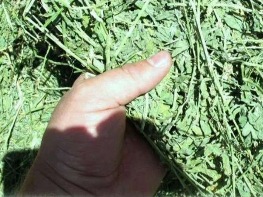 Сено,солома,зерно люцерна в рулонах