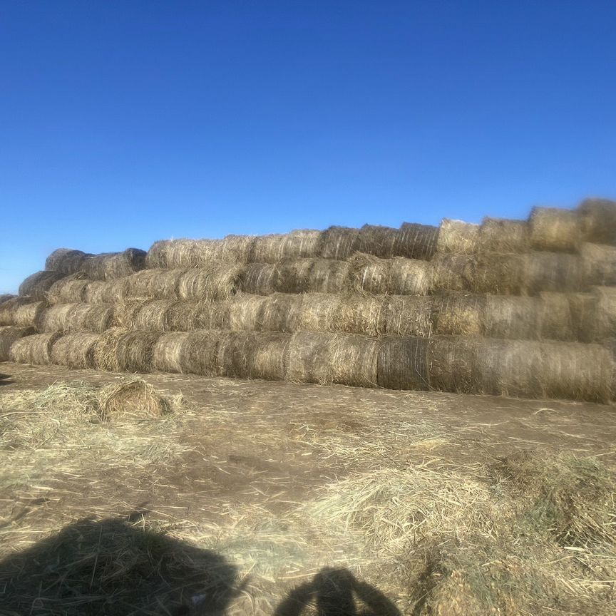 Сено в рулонах