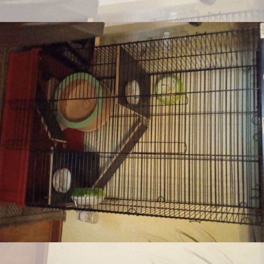 Клетка для животных бу