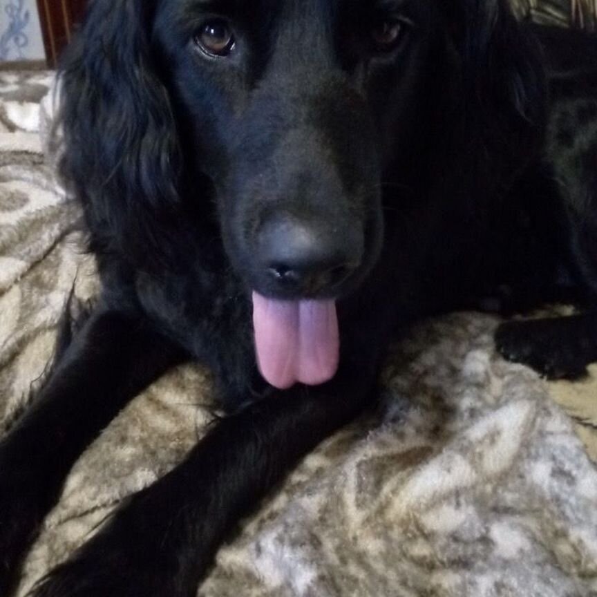 Не родись красивым