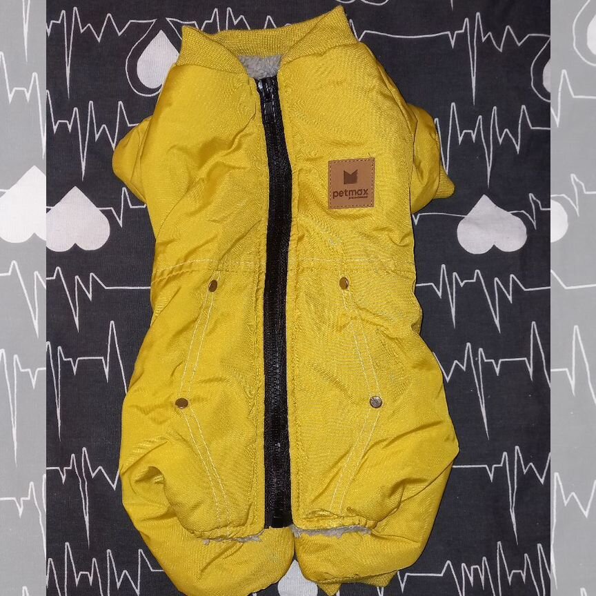 Одежда для животных