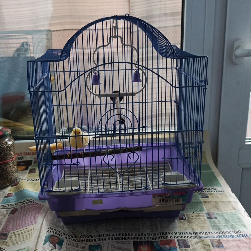 Клетка для волнистого попугая