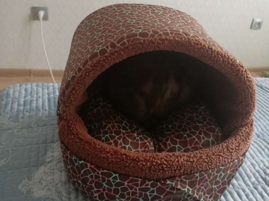 Лежанка для кошек
