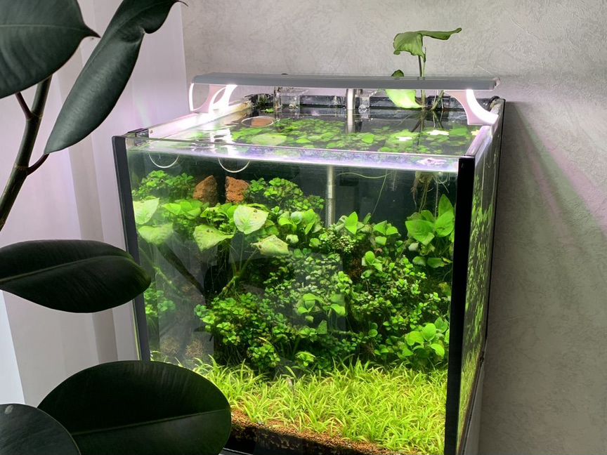 Аквариум с тумбой