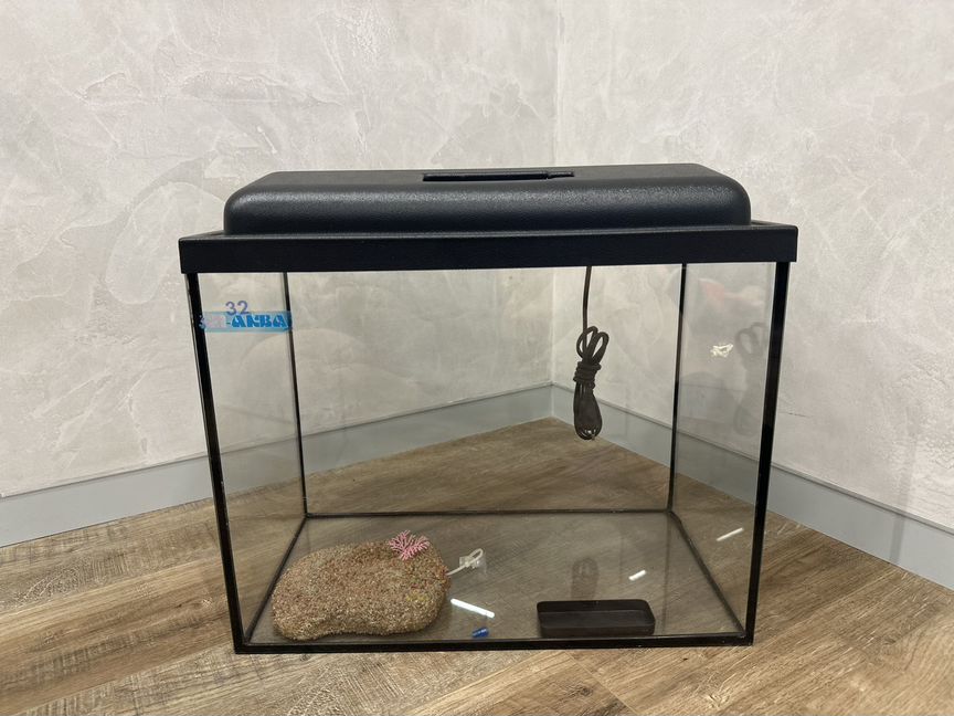 Аквариум для рыбок