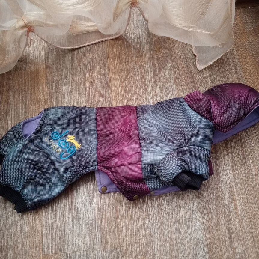 Одежда для собак мелких пород бу