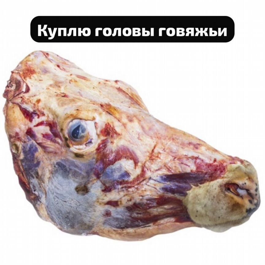 Головы говяжьи