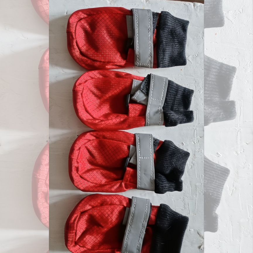 Обувь для собак