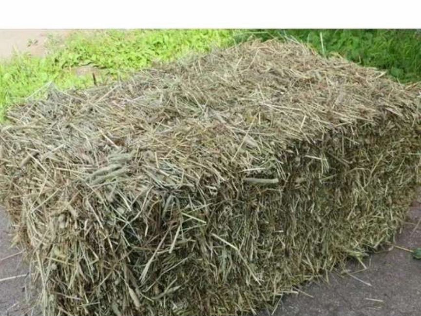 Прессованное сено