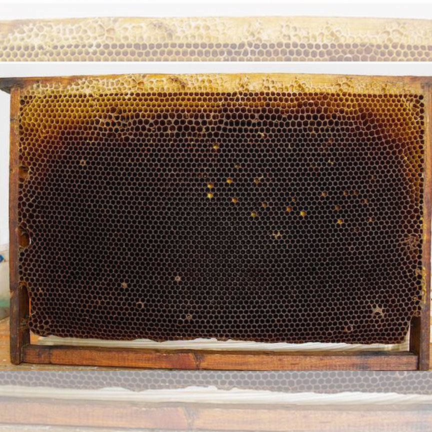 Скупаю старые Рамки(сушь) или обменяю на мед