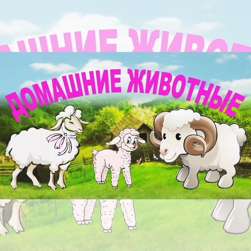 Рыбные отходы