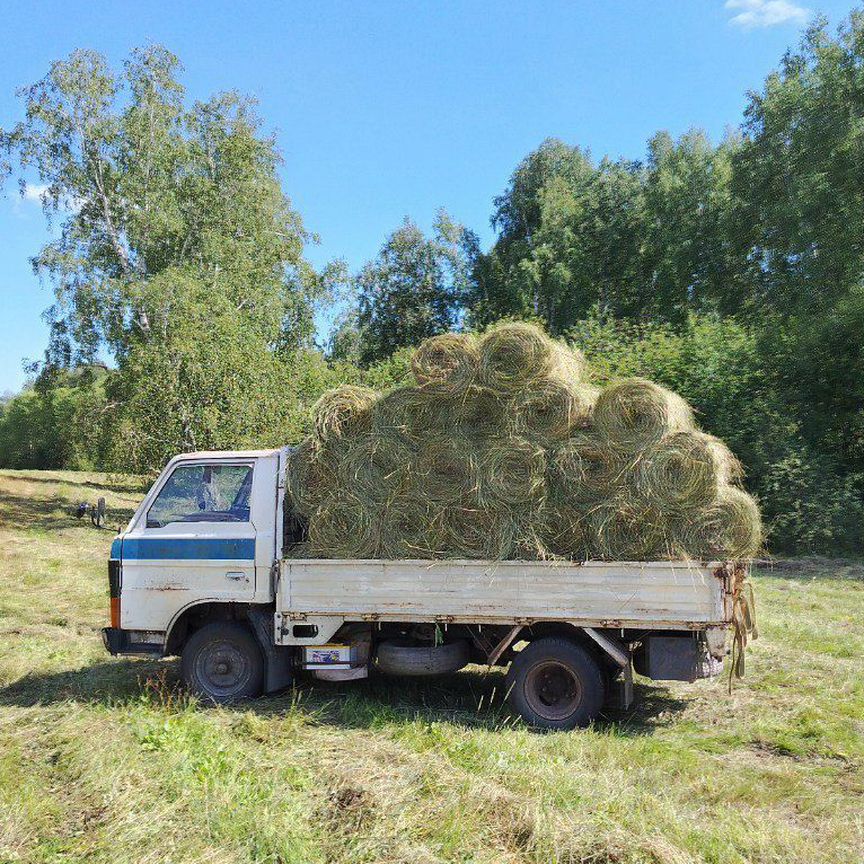 Сено в мини рулонах