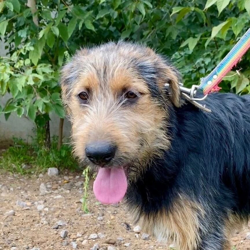 Симпатичный паренёк Аким, 7 месяцев