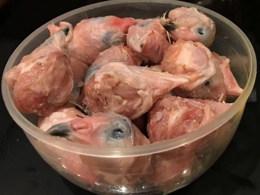 Перепелиные головы