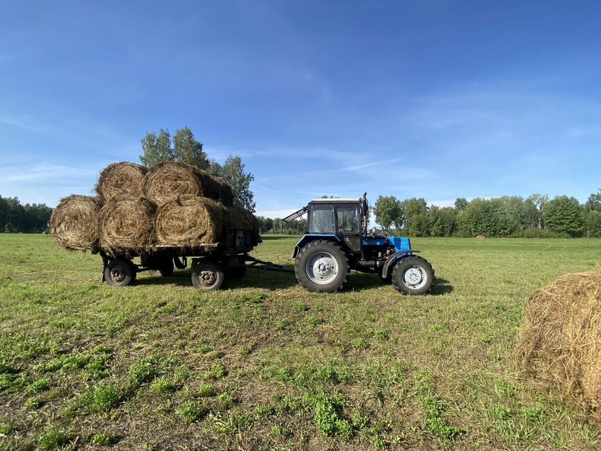 Сено в рулонах