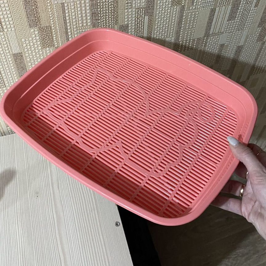 Лоток для котят