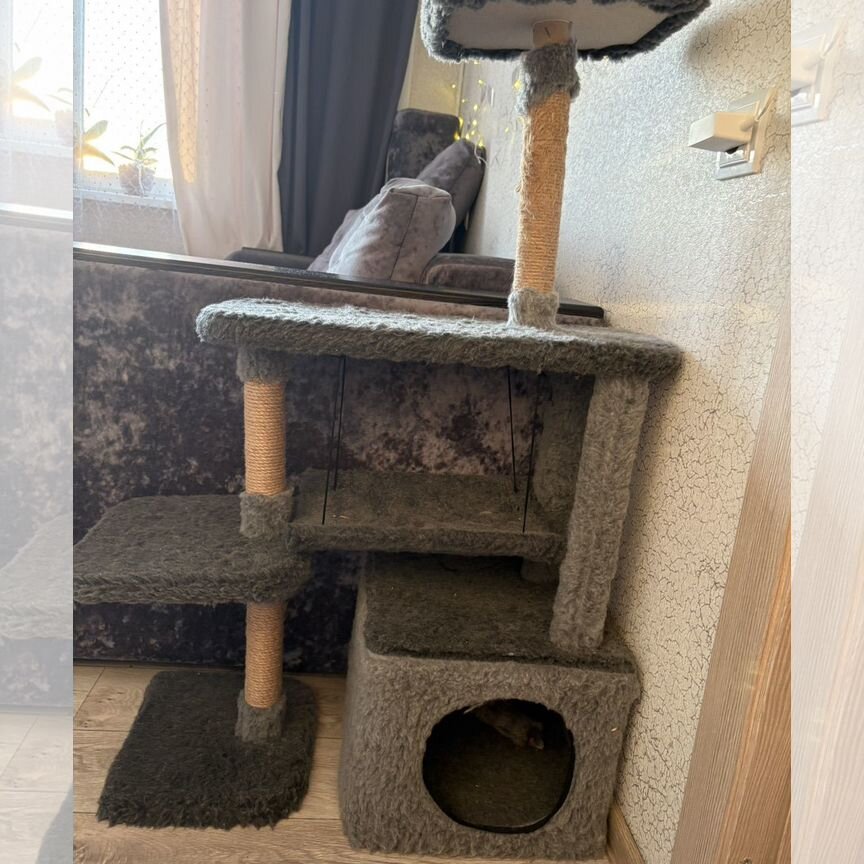 Когтеточка