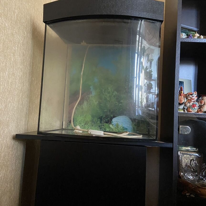 Террариум/аквариум