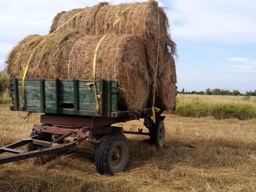 Сено в рулонах