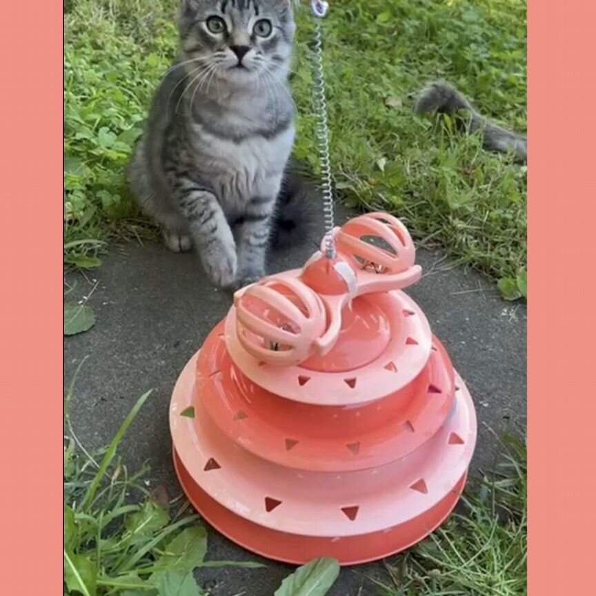 Юная Мерседес ищет компаньонку