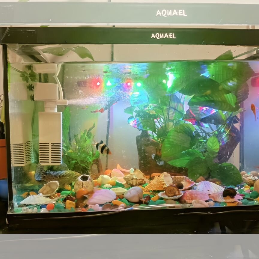 Аквариум для рыбок 40 литров с рыбками