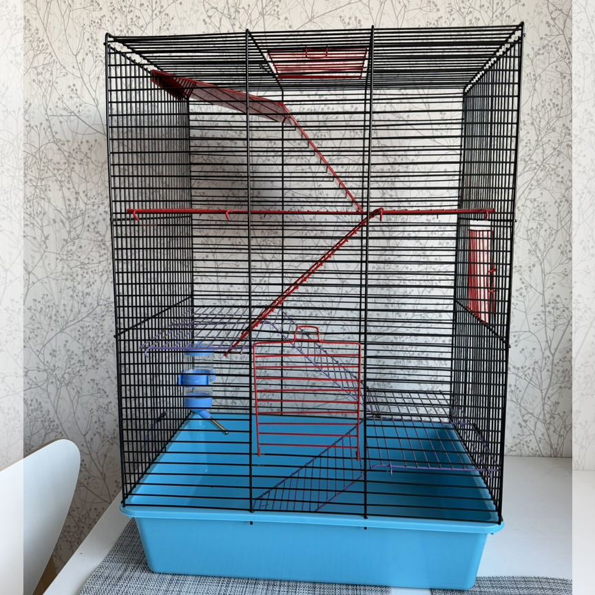 Клетка