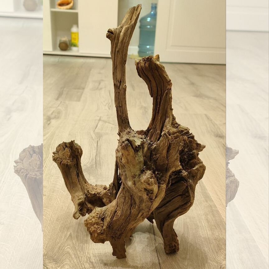 Коряга Java от Decotop в аквариум