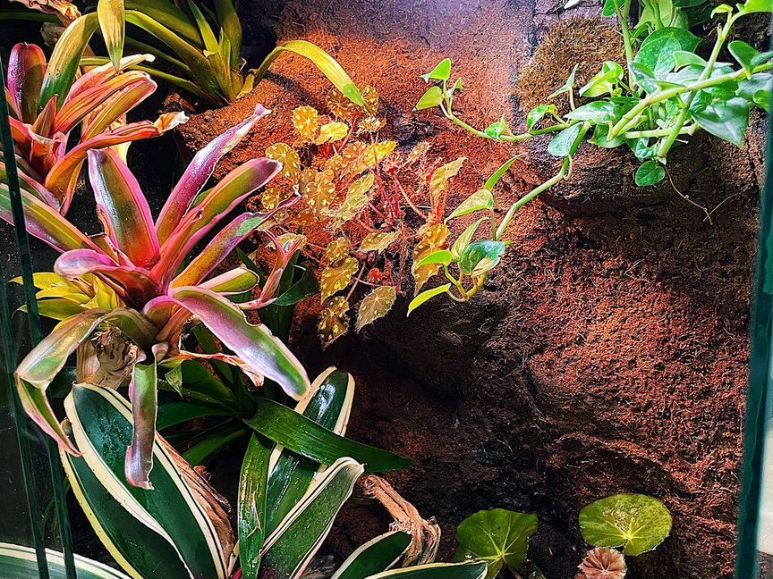 Террариум на заказ