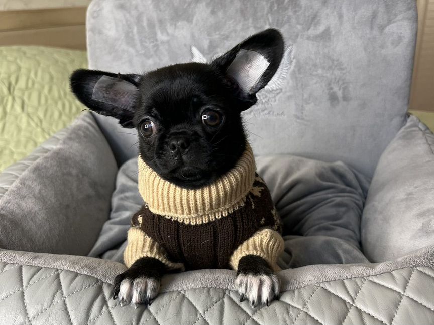 Черный уголек