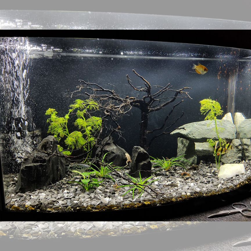 Аквариум aquael pearl set 50