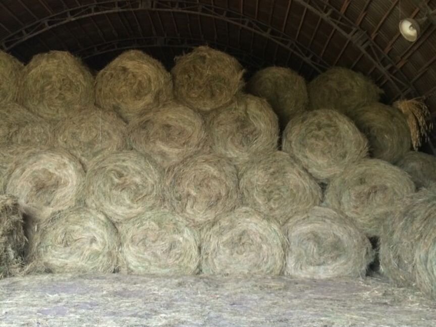 Сено и солома 2023 от производителя. Оптом